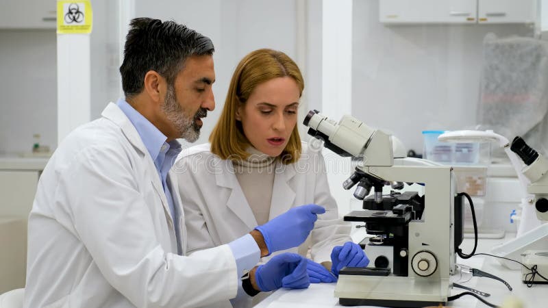 Scientists Conducting Research Investigations in a Medical Laboratory ...