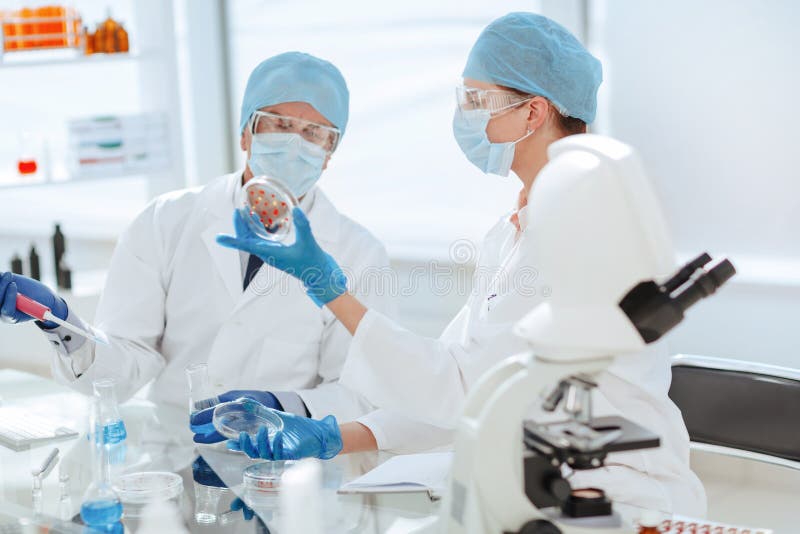 Scientists Discussing Their Research in the Laboratory. Stock Image ...