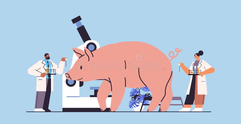 Scientists Doing Experiments in Lab with Animals Veterinary Workers ...