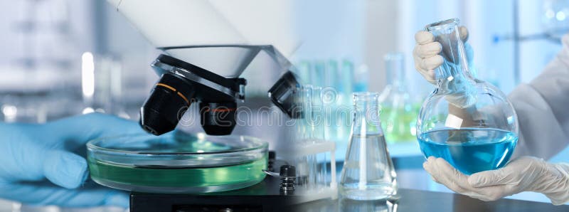Scientists Doing Research and Analysis in Chemical Laboratory. Banner ...