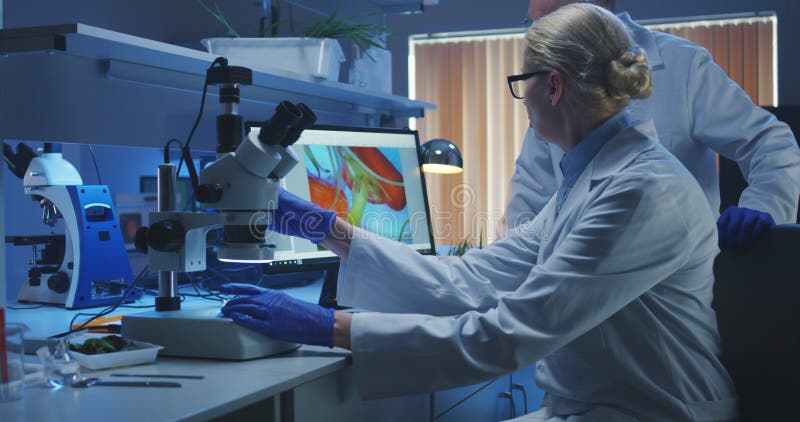Scientists Examining Bacteria in a Lab Stock Image - Image of ...