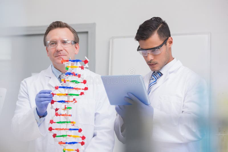 Scientists Examining Dna Helix Stock Image - Image of coloured ...