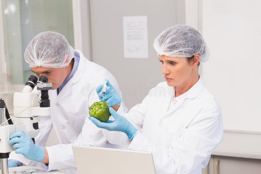 Scientists Examining Green Pepper Stock Image - Image of caucasian ...