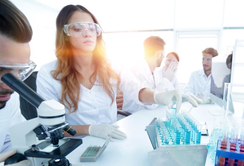 Scientists Examining in the Lab with Test Tubes. Stock Image - Image of ...