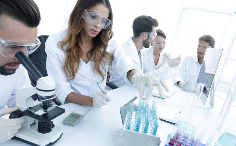 Scientists Examining in the Lab with Test Tubes. Stock Image - Image of ...