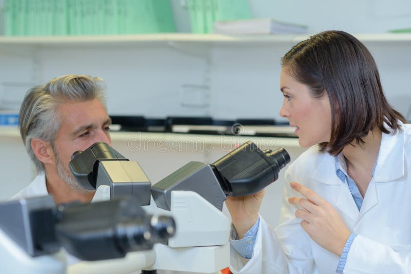 Scientists Examining Samples Under Microscope Stock Image - Image of ...
