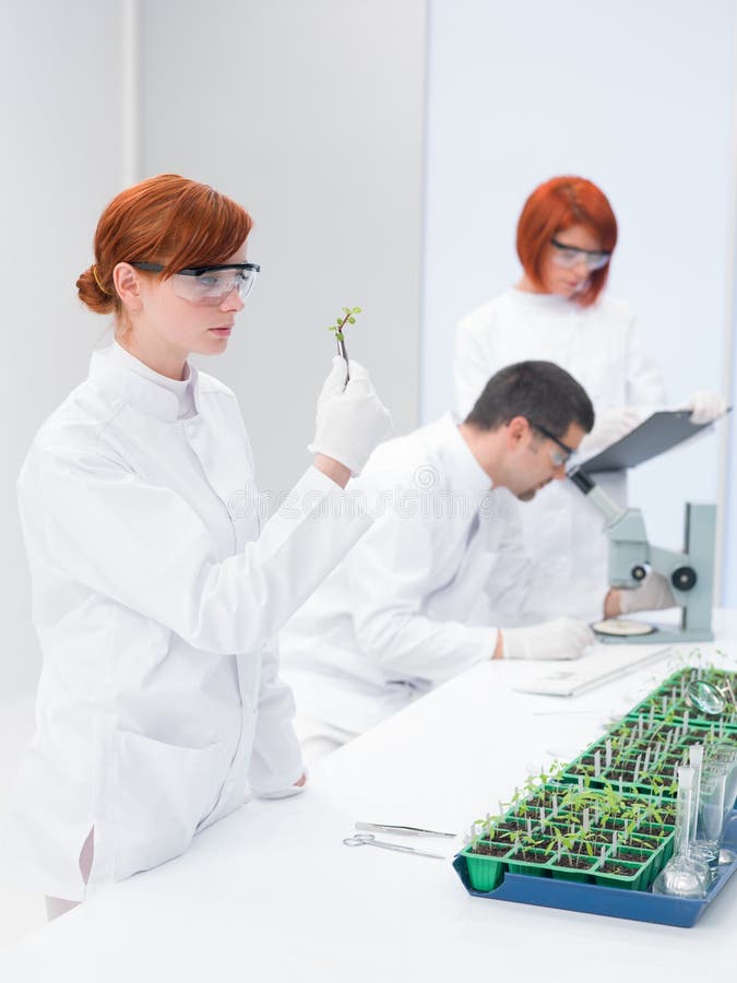 Scientists in a Genetic Engineering Laboratory Stock Image - Image of ...