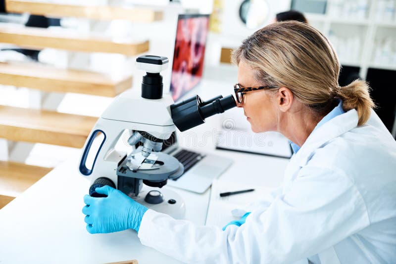 How Microscope Works Stock Photos - Free & Royalty-Free Stock Photos ...