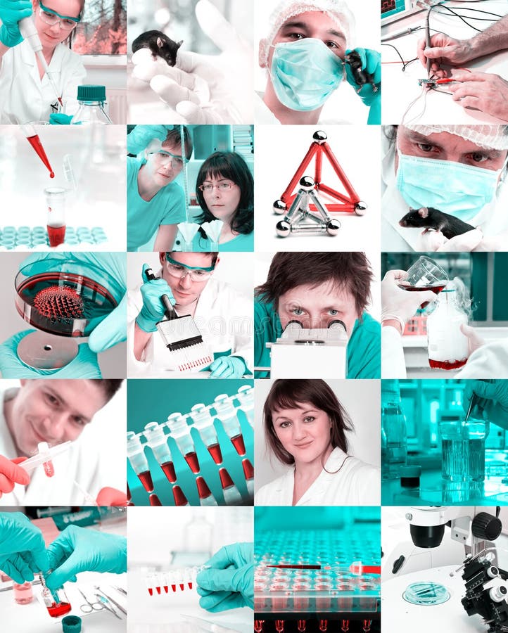Modern Research Environment, Collage Stock Image - Image of biotech ...