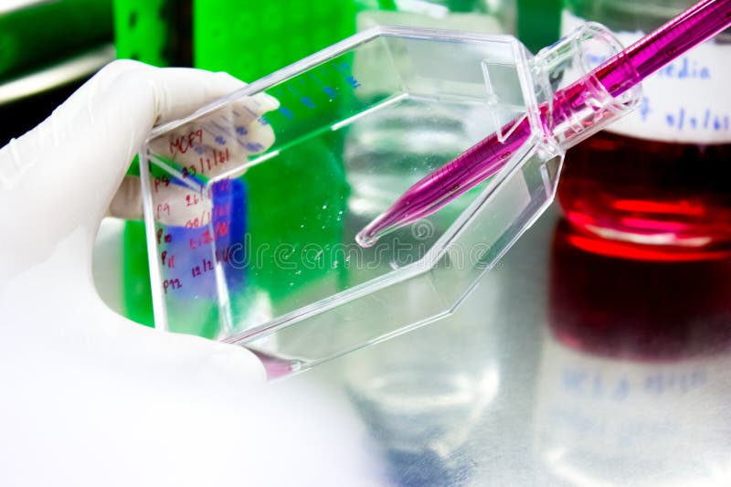 Vivo Infusion Stock Photos - Free & Royalty-Free Stock Photos from ...