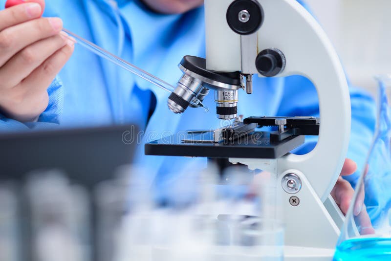 Scientists are Preparing Samples To Examine the Specimens with a ...