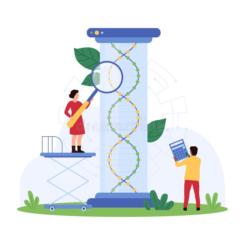 Scientists Researching DNA Structure Concept Stock Illustration ...