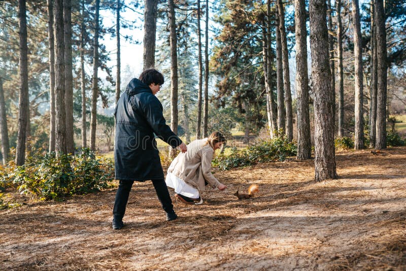 Scientists are Studying Plant Species in the Forest. Stock Photo ...