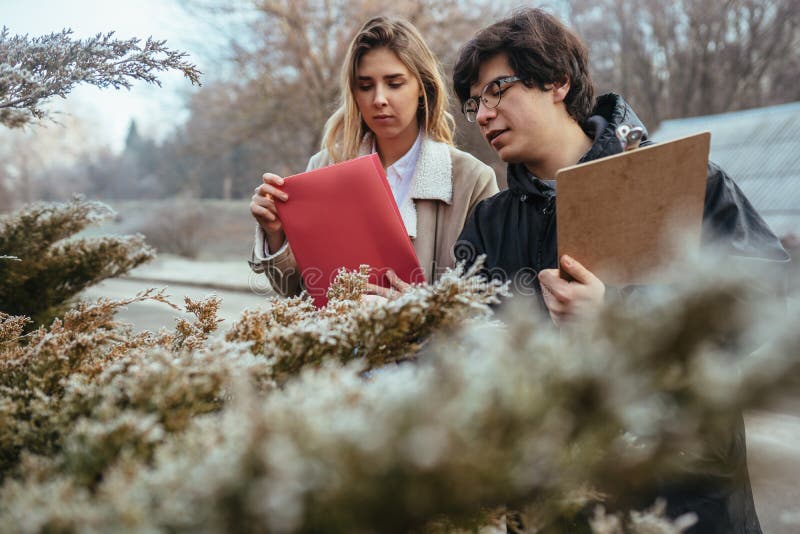 Scientists are Studying Plant Species in the Forest. Stock Photo ...