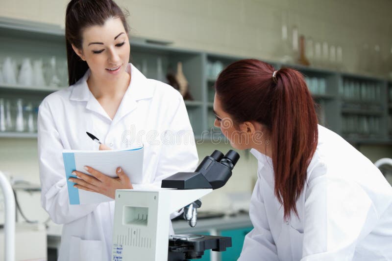 Scientists Talking about Their Results Stock Photo - Image of ...