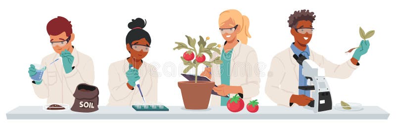 Scientists Team Working at Agricultural Laboratory Inspecting Soil ...
