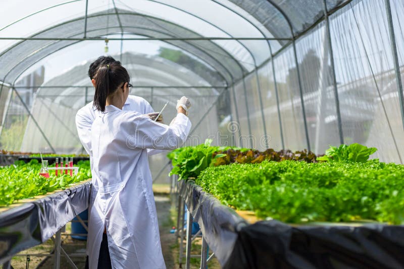 Scientists Test the Solution, Chemical Inspection, Check Freshness at ...