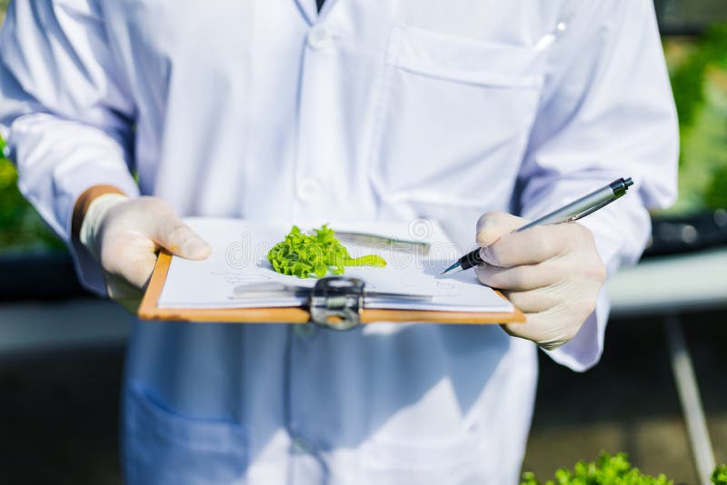 Scientists Test the Solution, Chemical Inspection, Check Freshness at ...