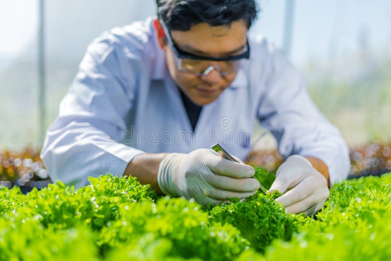 Scientists Test the Solution, Chemical Inspection, Check Freshness at ...