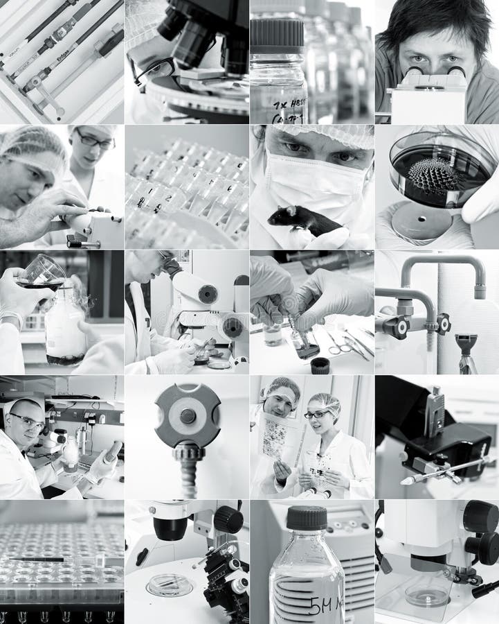 Modern Research Environment, Collage Stock Image - Image of biotech ...