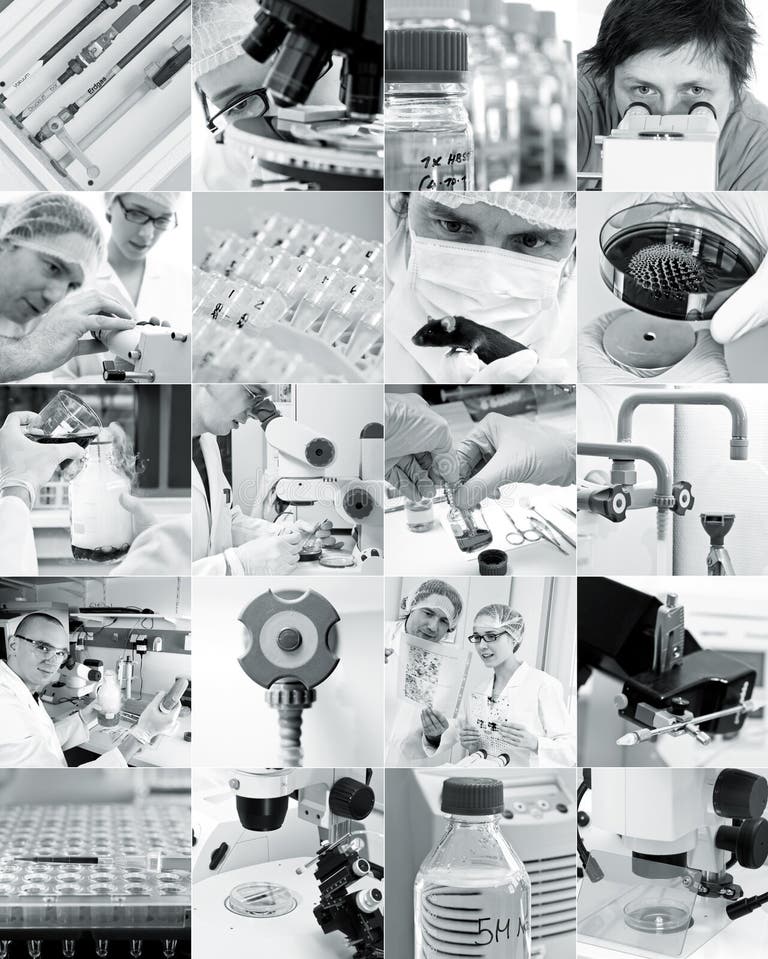 130 Lab Safety Collage Stock Photos - Free & Royalty-Free Stock Photos ...
