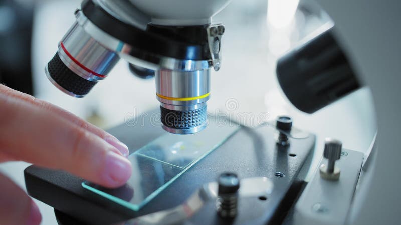 Scientists Using Microscope in Bio Lab and Experiment, Concept Science ... Scientists Using Microscope in Bio Lab and Experiment, Concept Science ...
