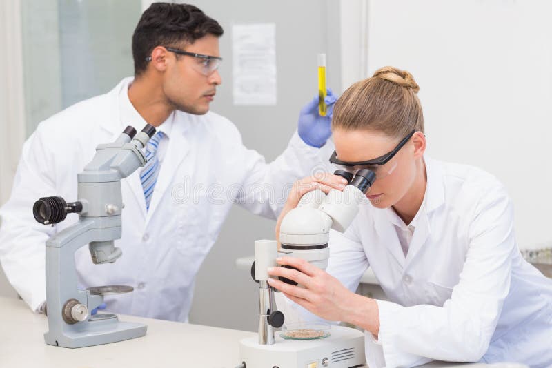 Scientists Using Microscope Stock Image - Image of petri, laboratory ...