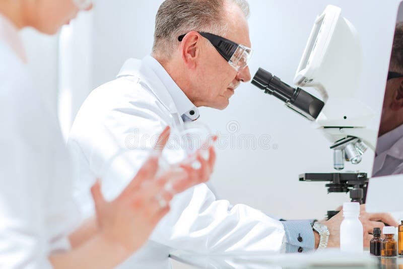 Study of Bacteria Under a Microscope. Stock Image - Image of objective ...