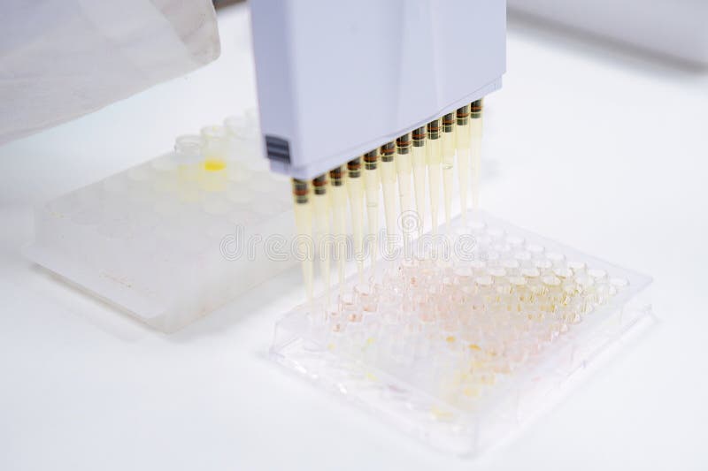 Scientists Utilize a Multichannel Pipette Dispenser To Load Microplates ...