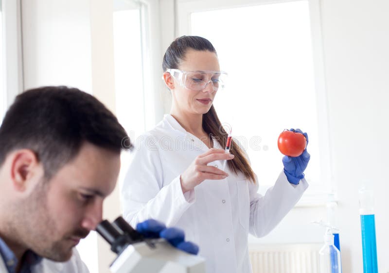 Scientists with Vegetables in Laboratory Stock Image - Image of fresh ...