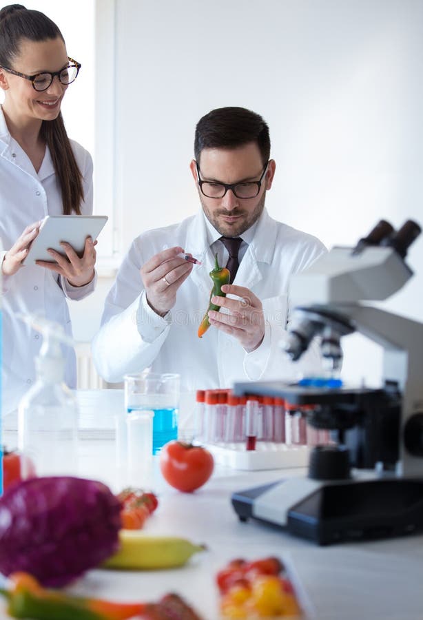 Scientists with Vegetables in Laboratory Stock Photo - Image of ...
