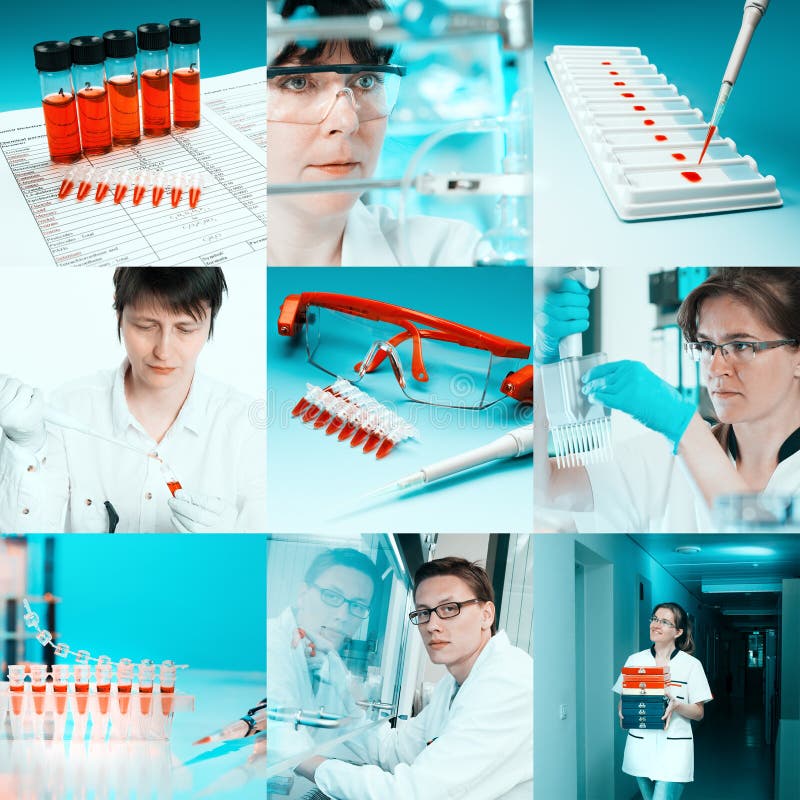 Scientists at Work, Collage Stock Image - Image of biology, human: 33278813