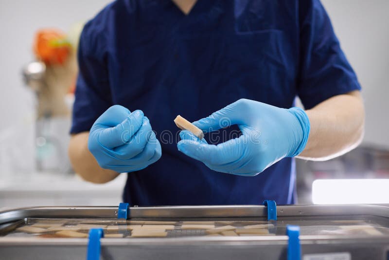 Scientists Work in the Laboratory. a Researcher Conducts Laboratory ...