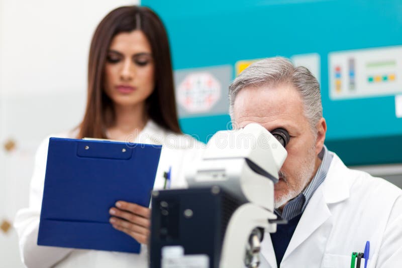 Scientists at Work in a Laboratory Stock Photo - Image of pharmacy ...