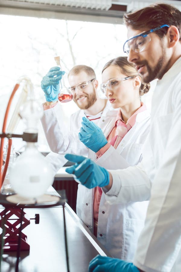 Two Scientists Working Together in Lab Looking at Data Stock Photo ...