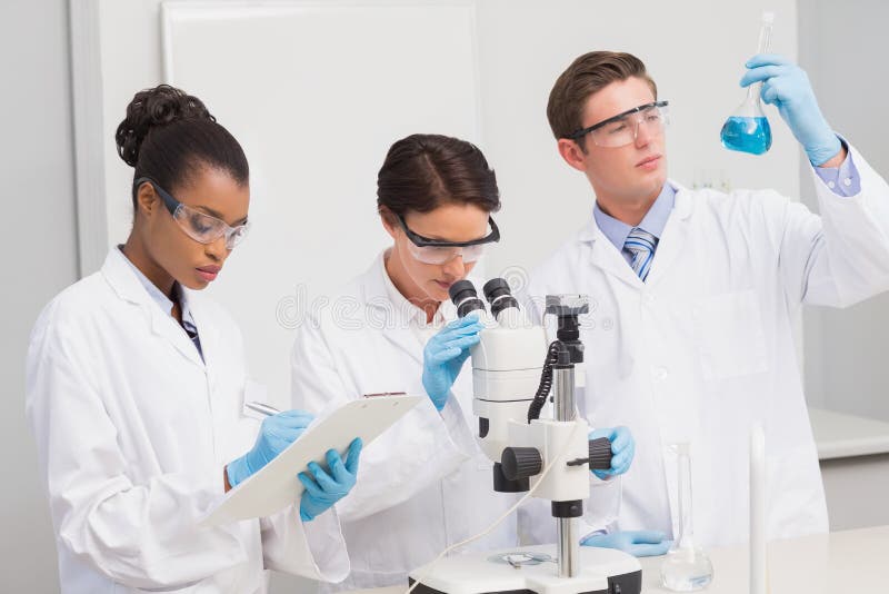 Scientists Working in a Laboratory Stock Photo - Image of learn, inside ...