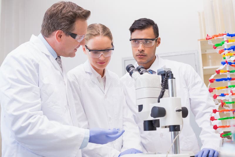Scientists Working Attentively with Microscope Stock Photo - Image of ... Scientists Working Attentively with Microscope Stock Photo - Image of ...