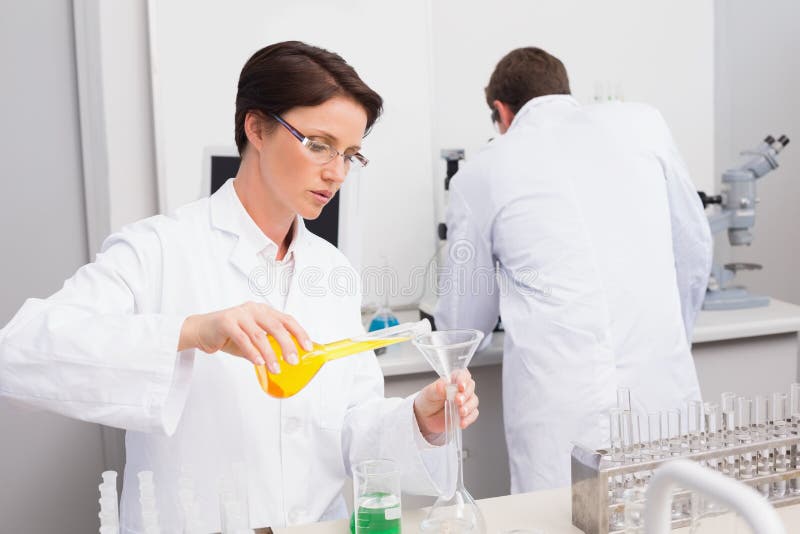 Scientists Working Attentively with Test Tube and Computer Stock Image ...