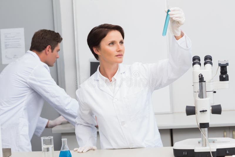 Scientists Working Attentively with Test Tube and Computer Stock Image ...