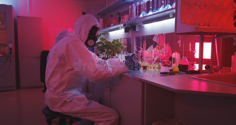 Scientists Working in Laboratory in Red Light Stock Photo - Image of ...