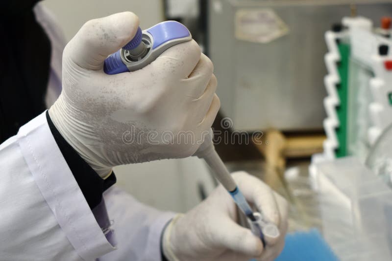 DNA Extraction Procedure in Laboratory. Stock Photo - Image of female ...