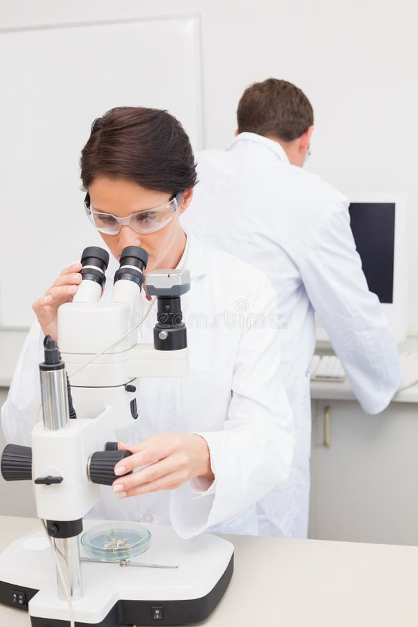 Scientists Working with Microscope and Computer Stock Photo - Image of ...