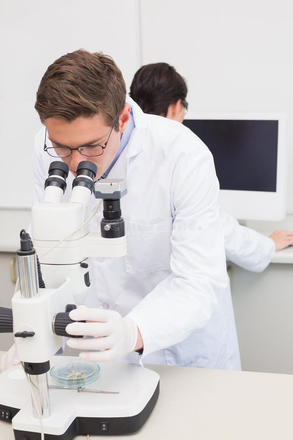 Scientists Working with Microscope and Computer Stock Image - Image of ...