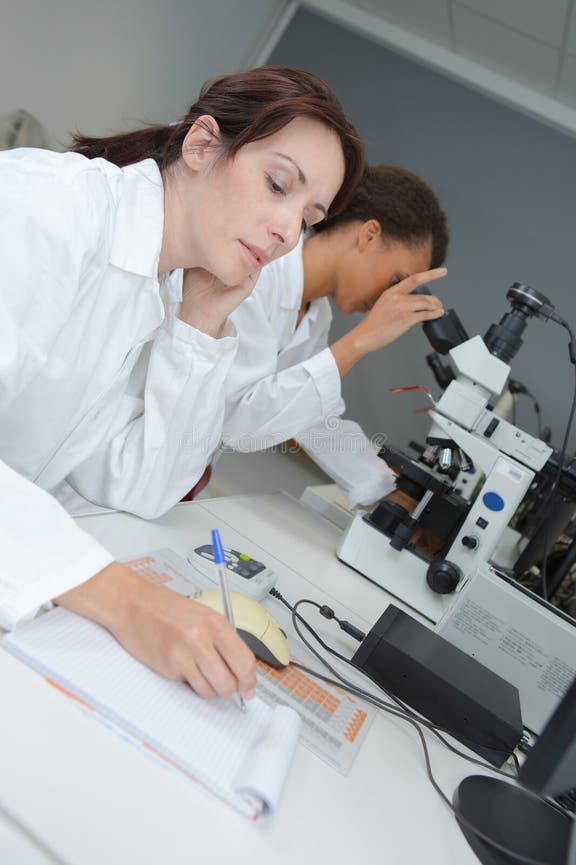 Scientists Working with Microscope and Taking Notes in Laboratory Stock ...