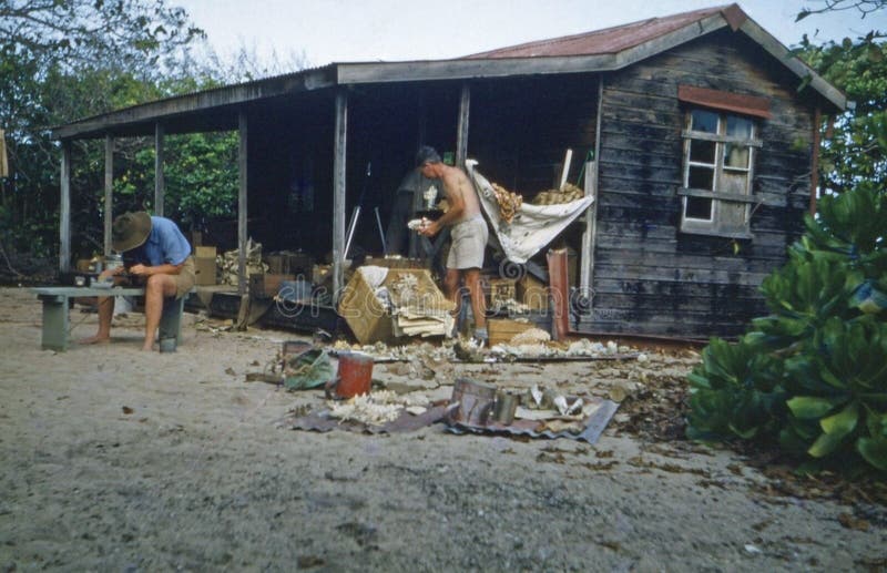 Scientists Working Outside An Old Shack On Low Island, Queensland, 1954 ...