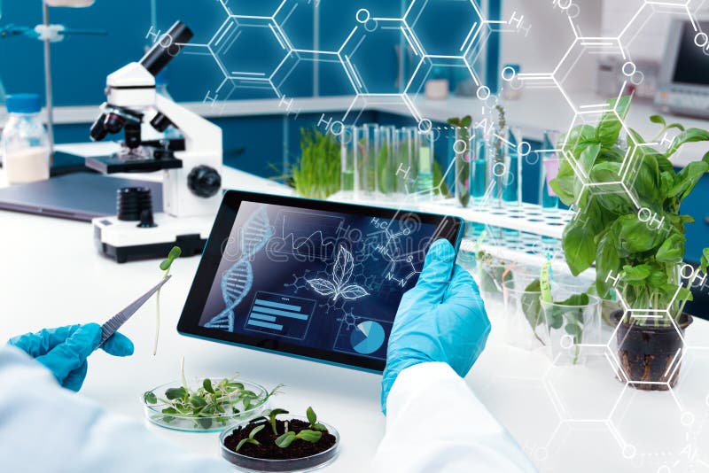 Scientists Working with Plants at Modern Laboratory Stock Image - Image ...