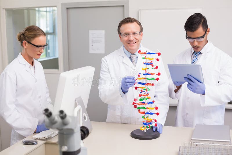 Scientists Working in a Laboratory Stock Photo - Image of learn, inside ...