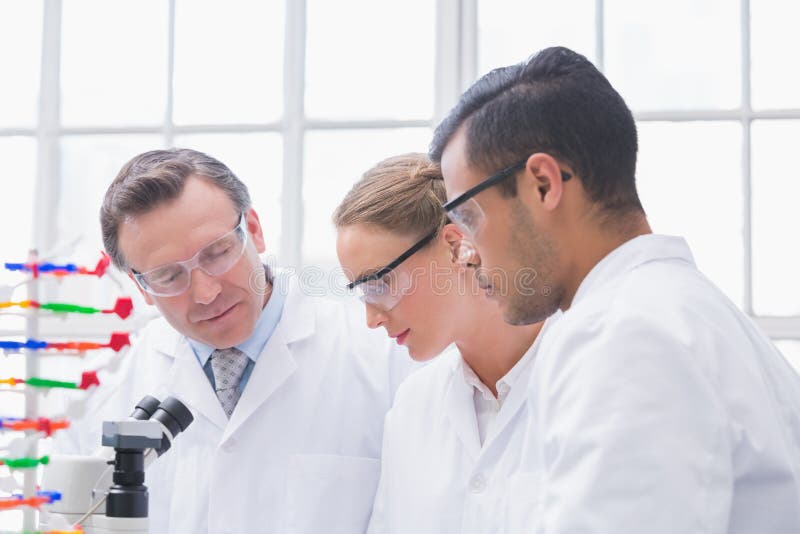 Scientists Working in a Laboratory Stock Photo - Image of learn, inside ...