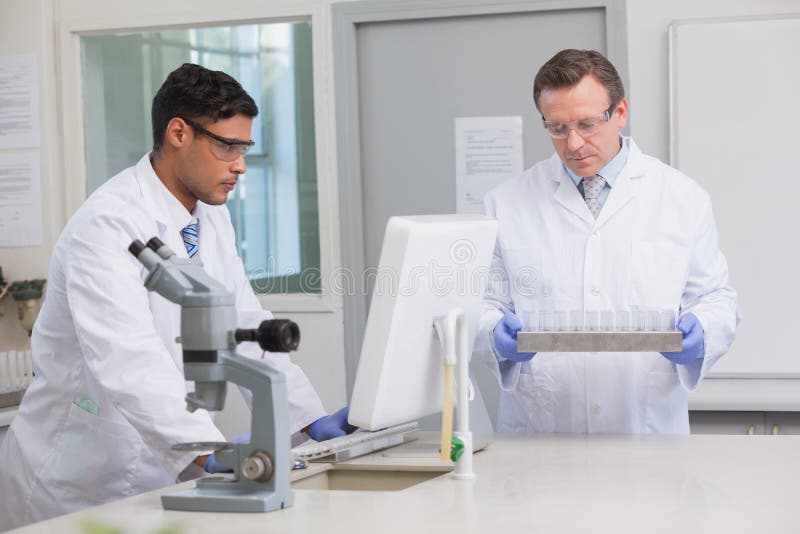 Scientists Working in a Laboratory Stock Photo - Image of learn, inside ...