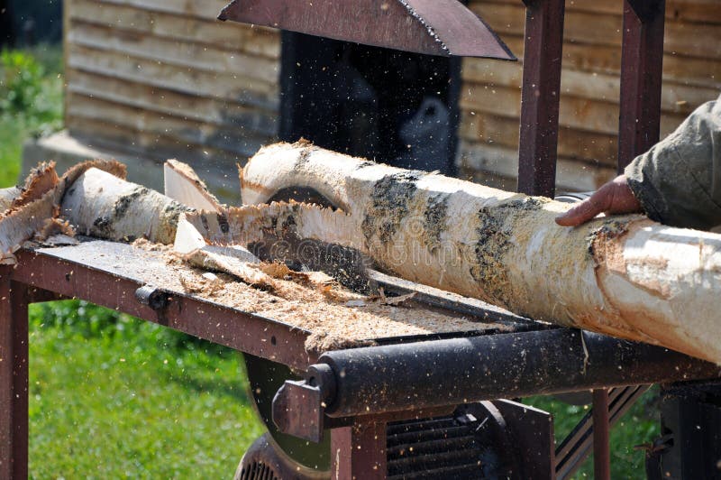 Scier Un Arbre Avec Une Scie Circulaire Image stock - Image du ...